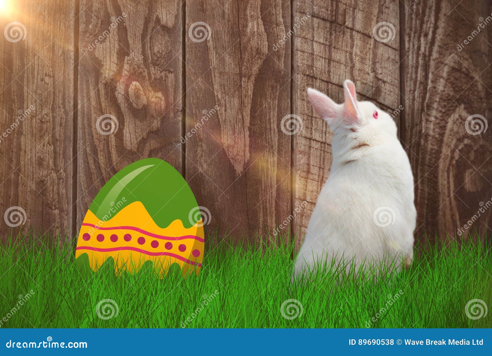 Composite Image of Rear View of Cute Rabbit Stock Photo - Image of ...