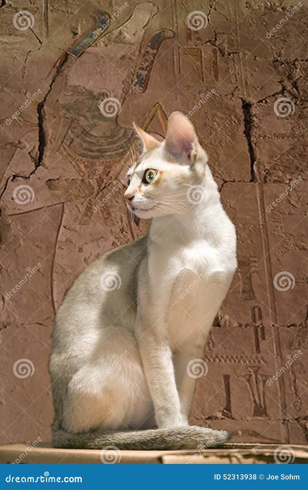 Composite Image of a Sacred Egyptian Temple Cat in an Ancient Room with ...