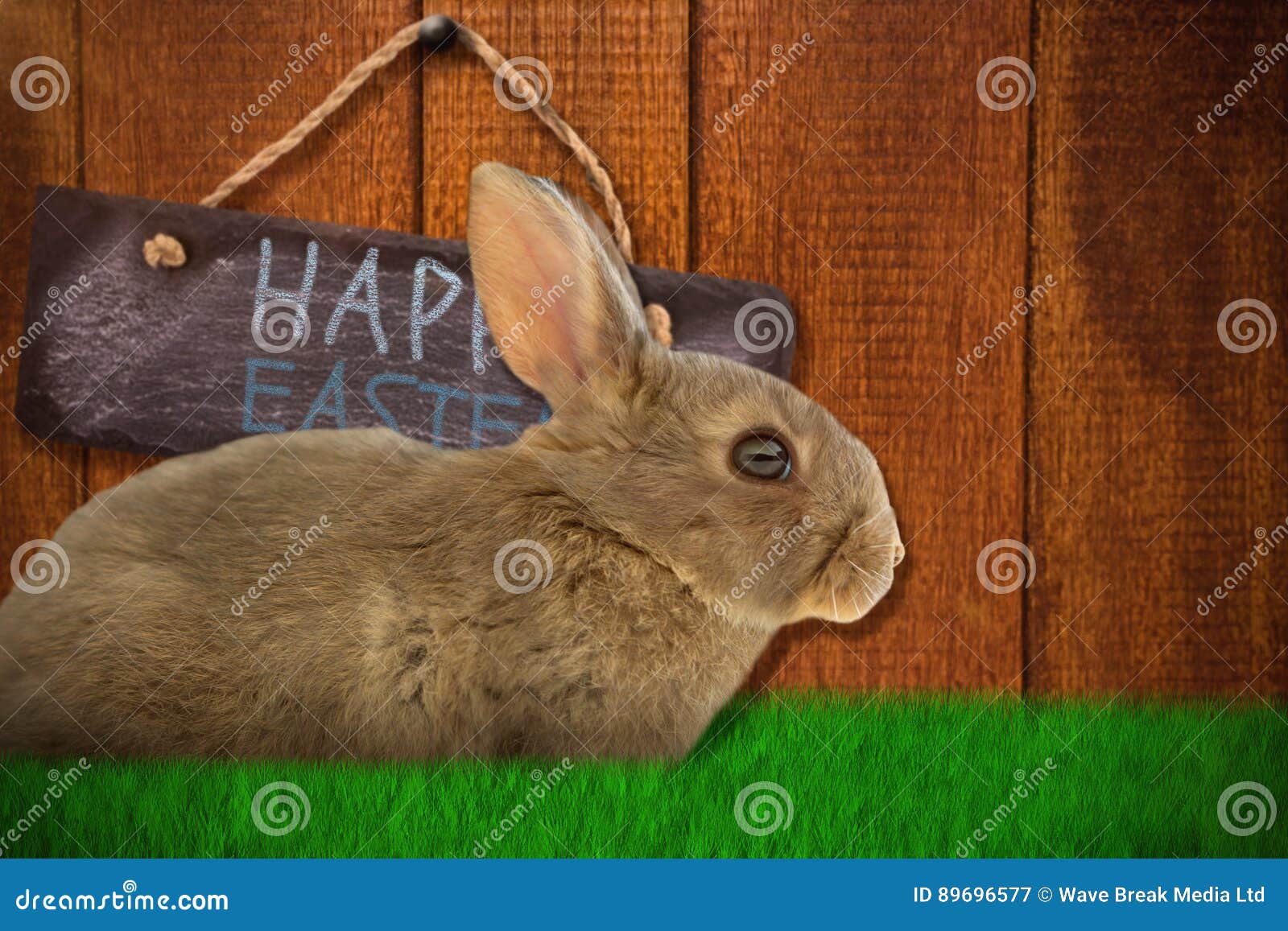 Composite Image of Side View of Cute Brown Rabbit Stock Image - Image ...