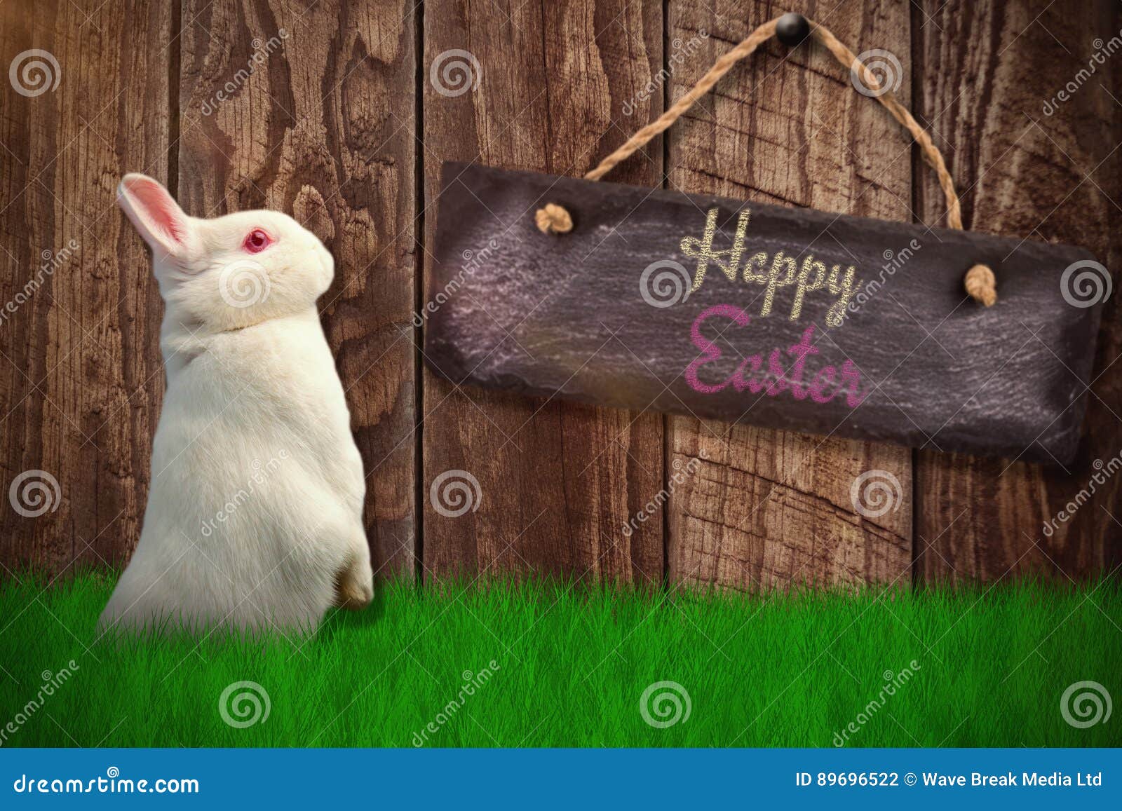 Composite Image of Side View of Cute Rabbit Stock Photo - Image of ...