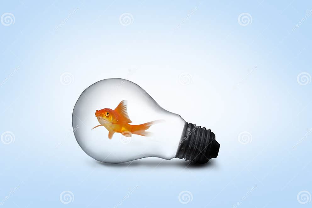 Composite Image of Side View of Fish Swimming Stock Photo - Image of ...