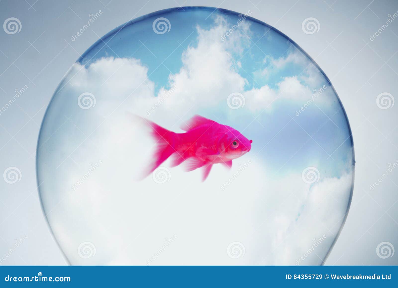 Composite Image of Side View of Fish Swimming Stock Image - Image of ...