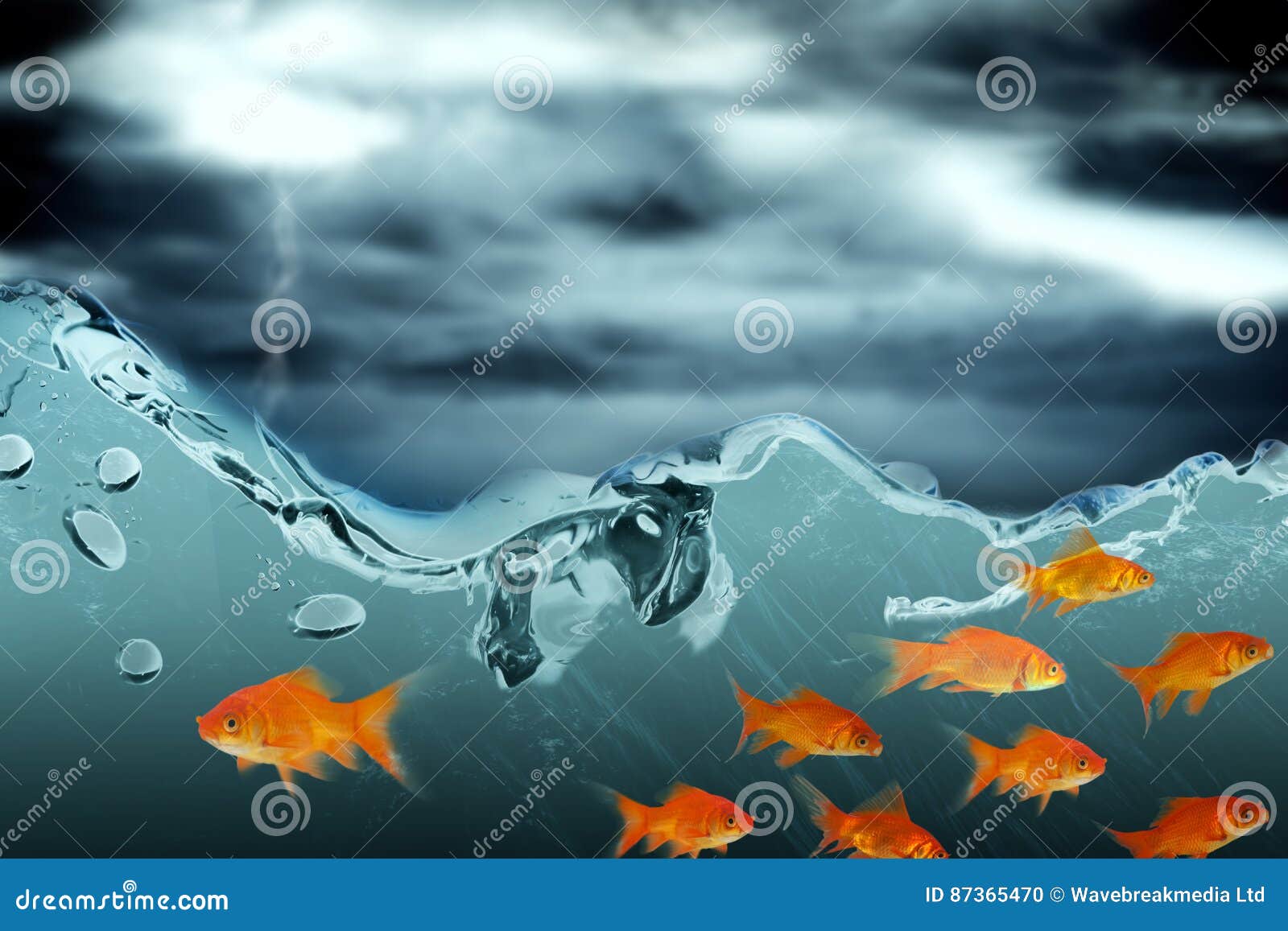Composite Image of Side View of Fish Swimming Stock Photo - Image of ...