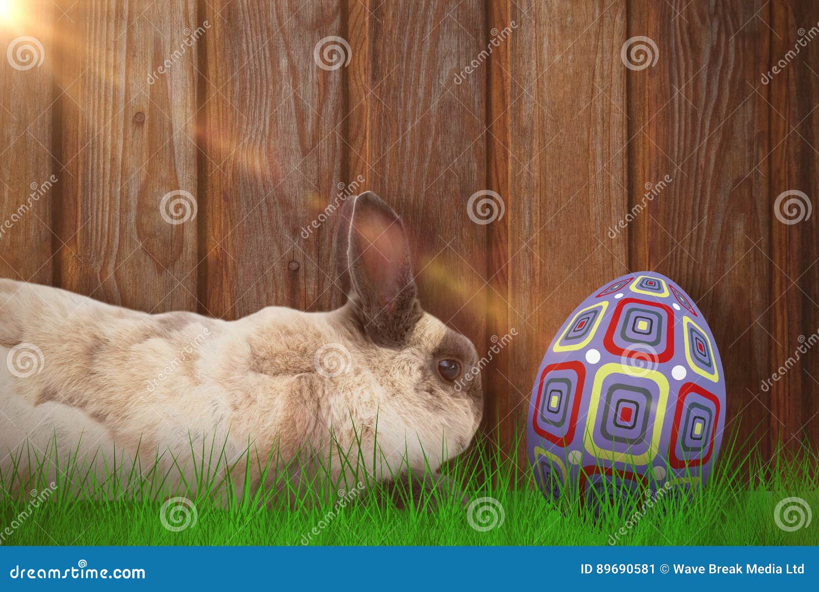 Composite Image of Side View of Rabbit Sitting Stock Image - Image of ...