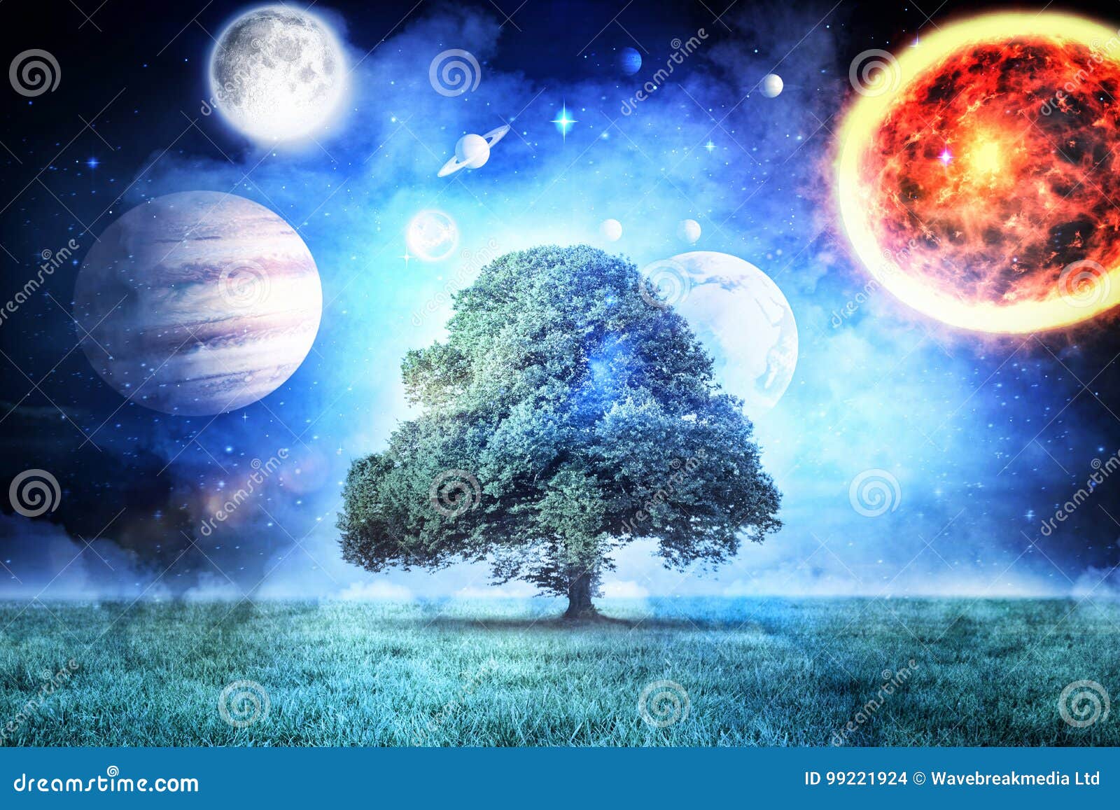 Jupiter Tree Stock Illustrations – 43 Jupiter Tree Stock Illustrations ...
