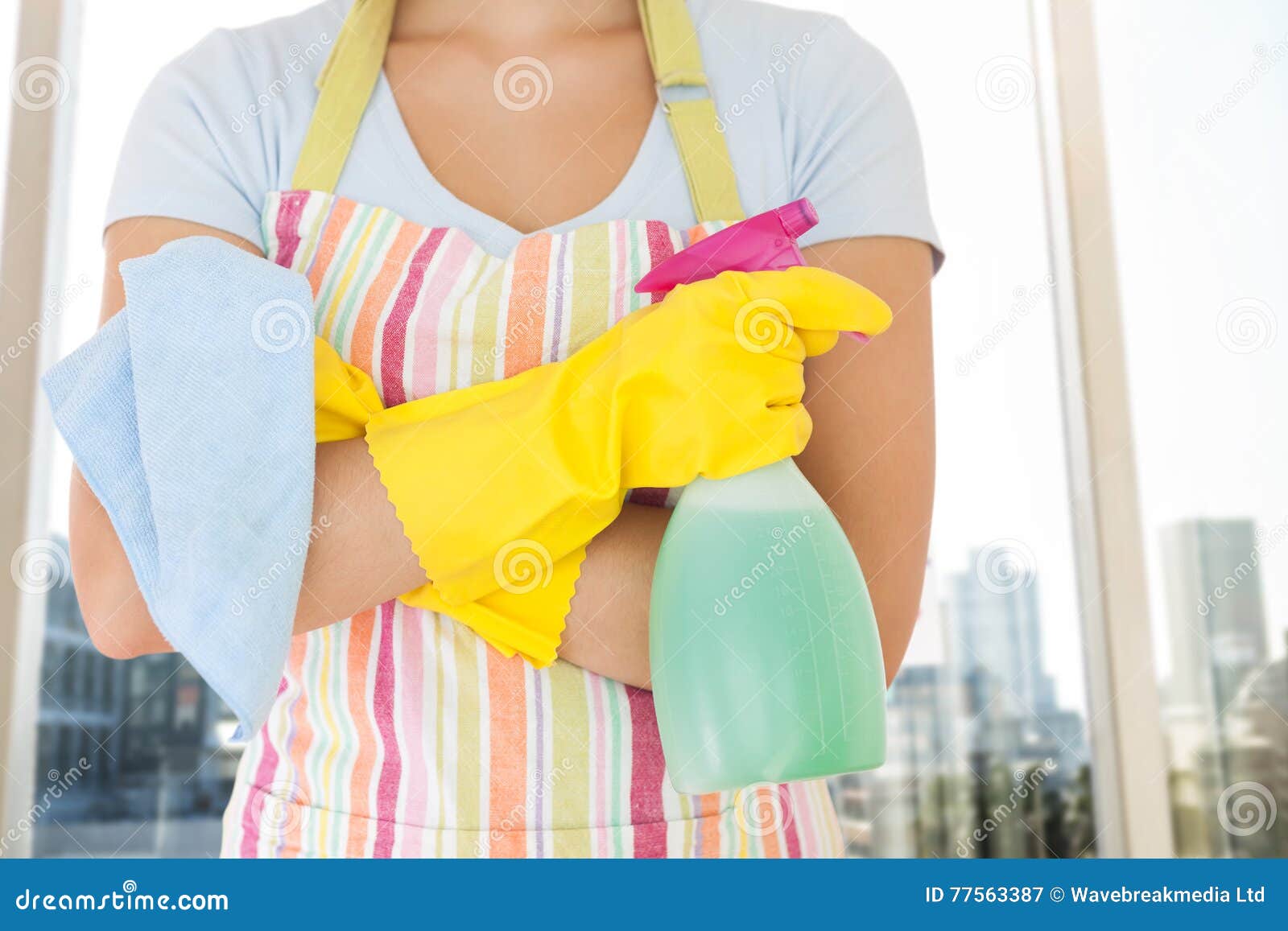 6,321 Woman Holding Rag Stock Photos - Free & Royalty-Free Stock Photos ...