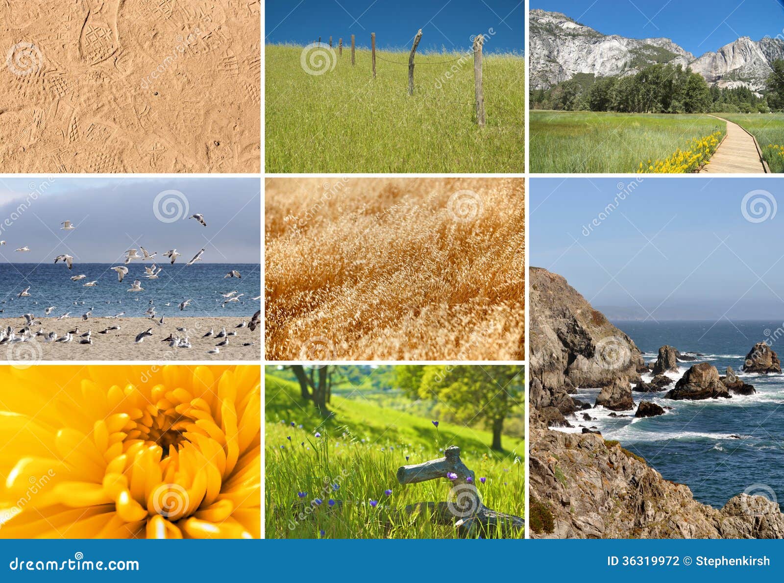 Composite of nature images stock photo. Image of combo - 36319972