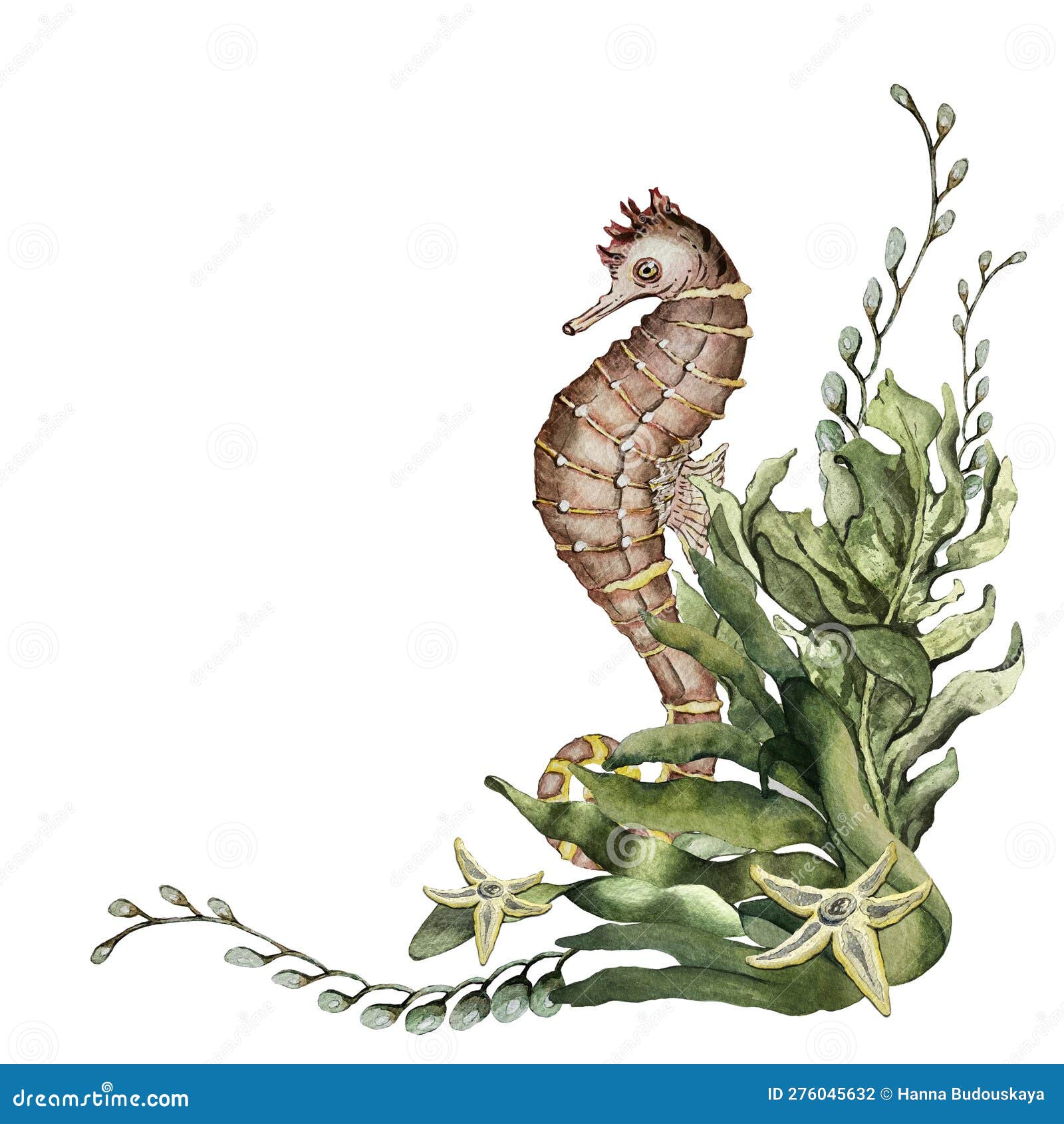 Composition of Seaweed. Kelp, Brown Seahorse and Yellow Starfish Stock ...