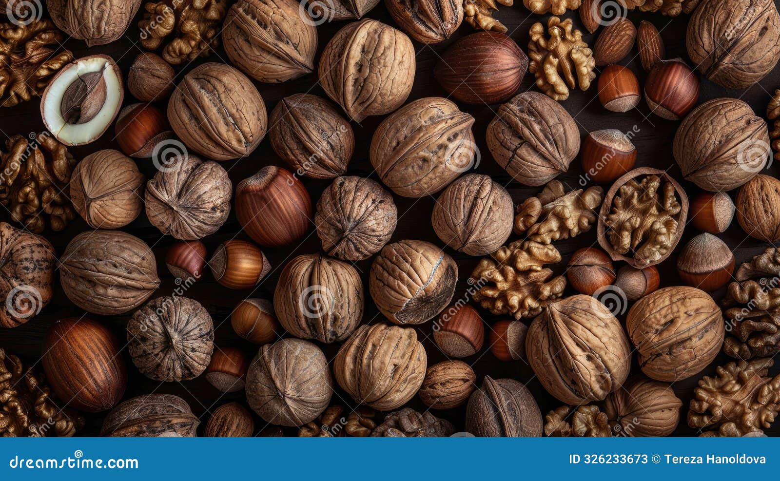 Composition of All Types of Walnut Stock Illustration - Illustration of ...
