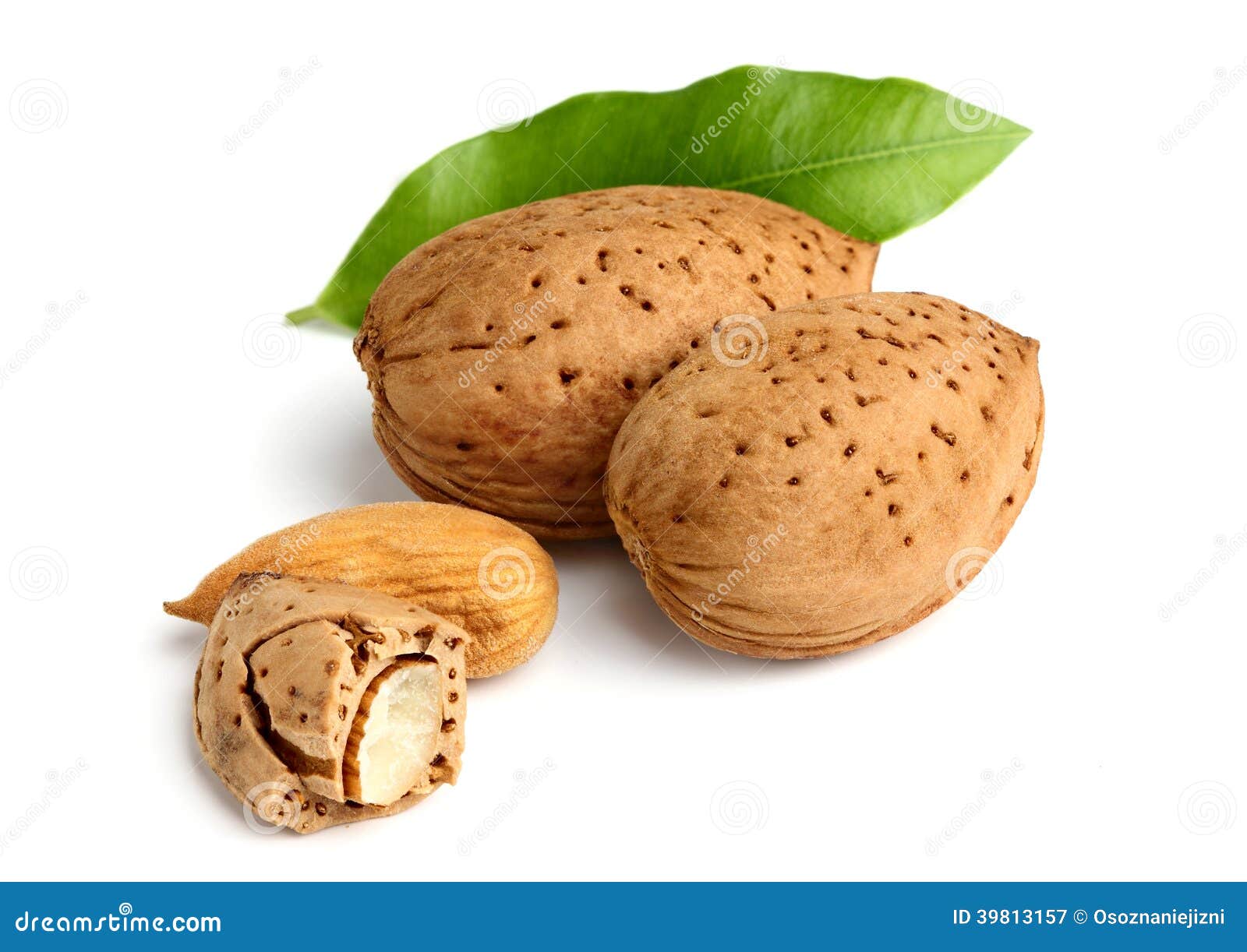 Composition of almond. stock image. Image of closeup - 39813157