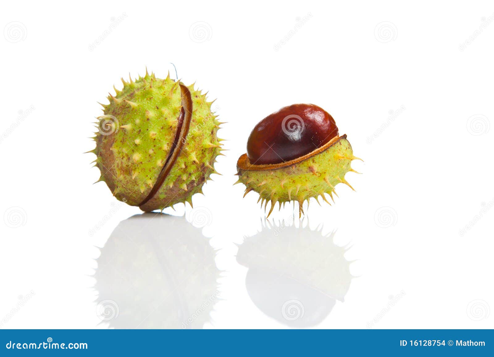 Composition of Autumn Chestnuts and Leaves Stock Photo - Image of ...