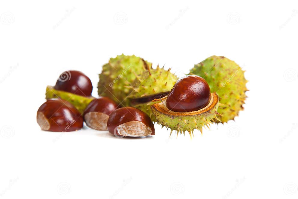 Composition of Autumn Chestnuts and Leaves Stock Image - Image of ...