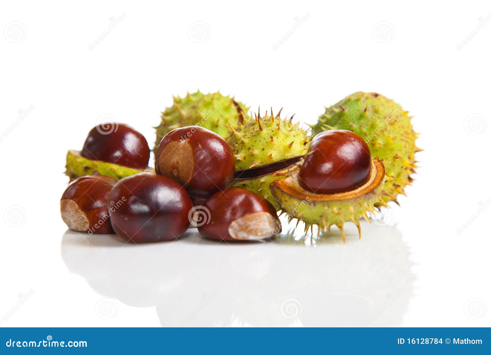 Composition of Autumn Chestnuts and Leaves Stock Photo - Image of ...