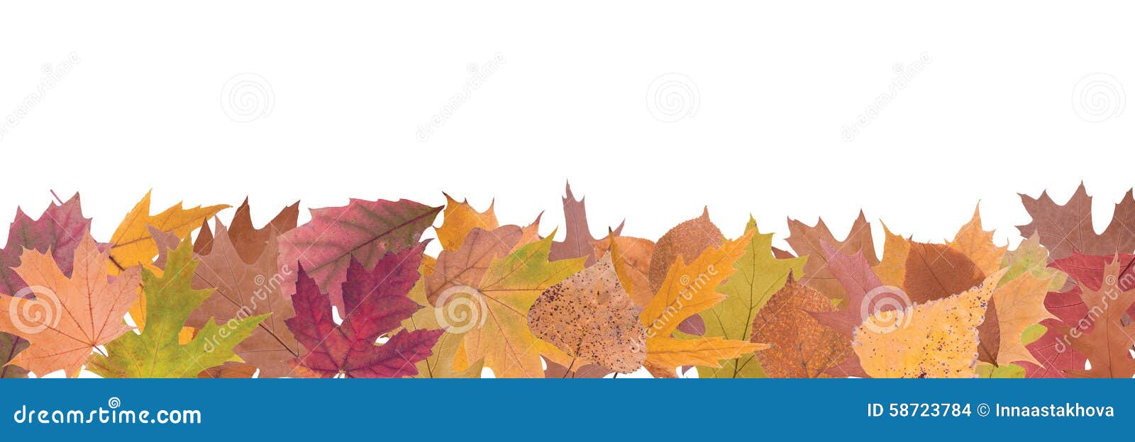 Composition of Autumn Leaves Stock Illustration - Illustration of ...