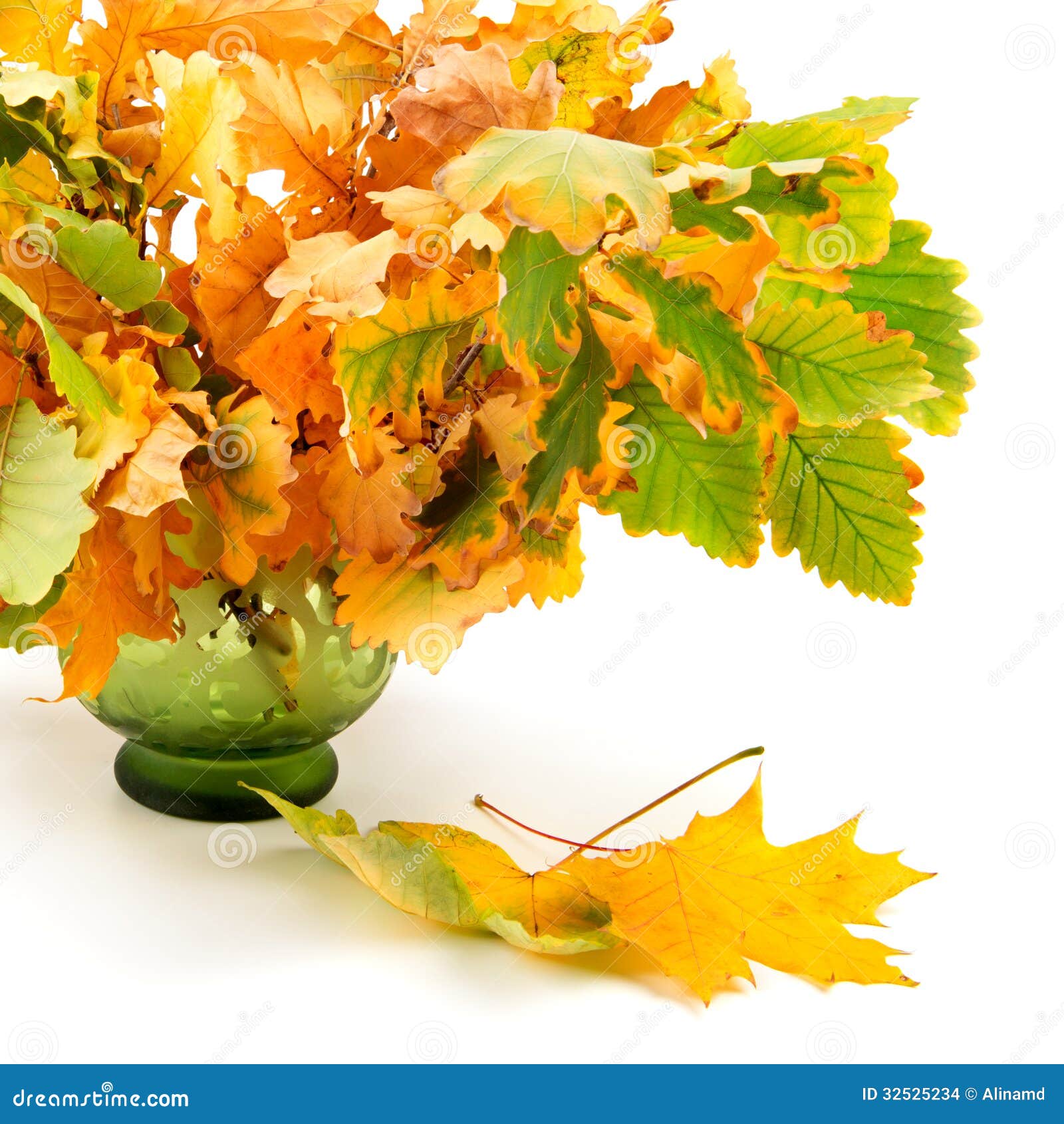 Composition of Autumn Leaves Stock Photo - Image of foliage, beautiful ...