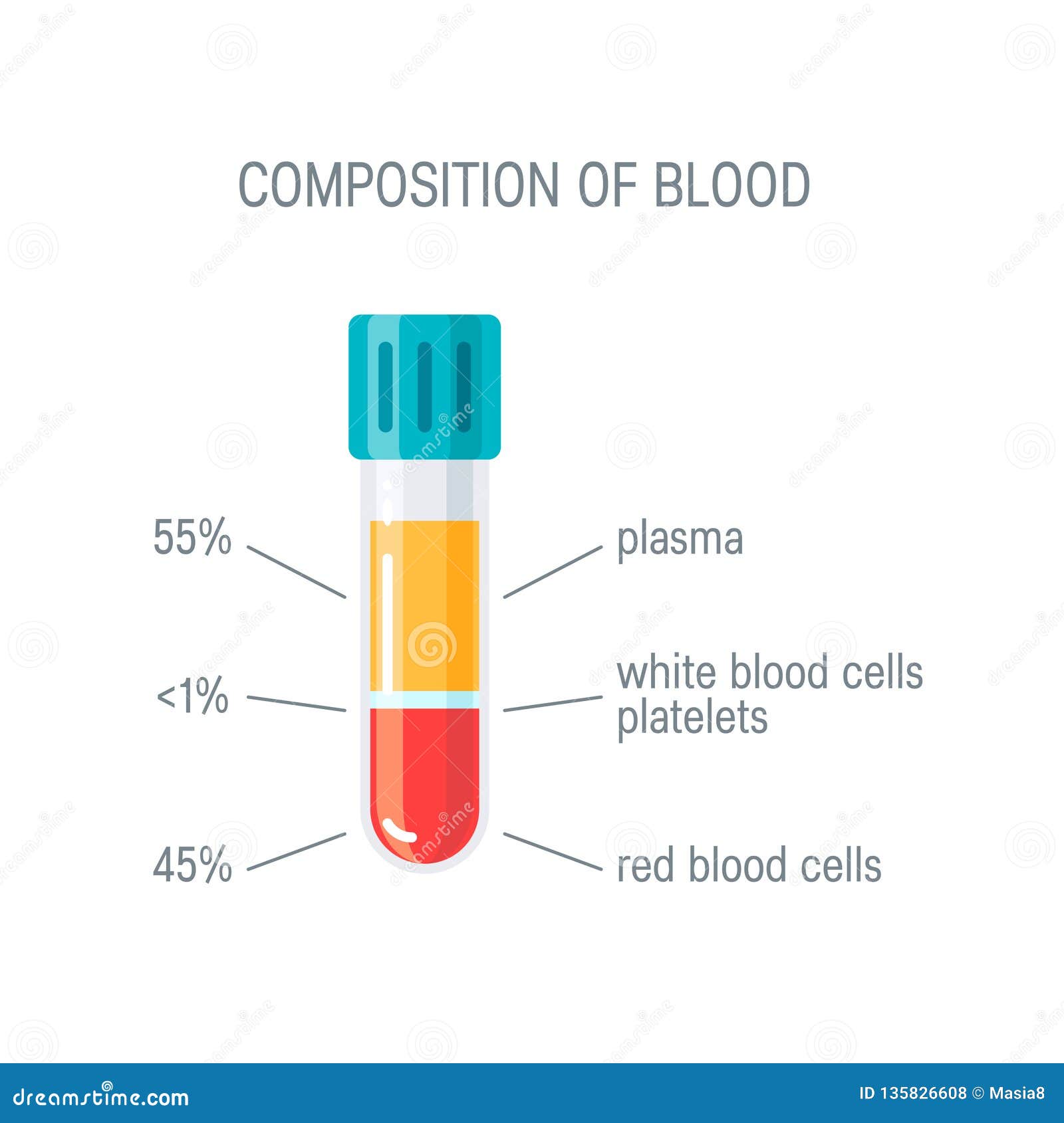 Composition Of Blood Vector Illustration. Labeled Anatomical Structure ...