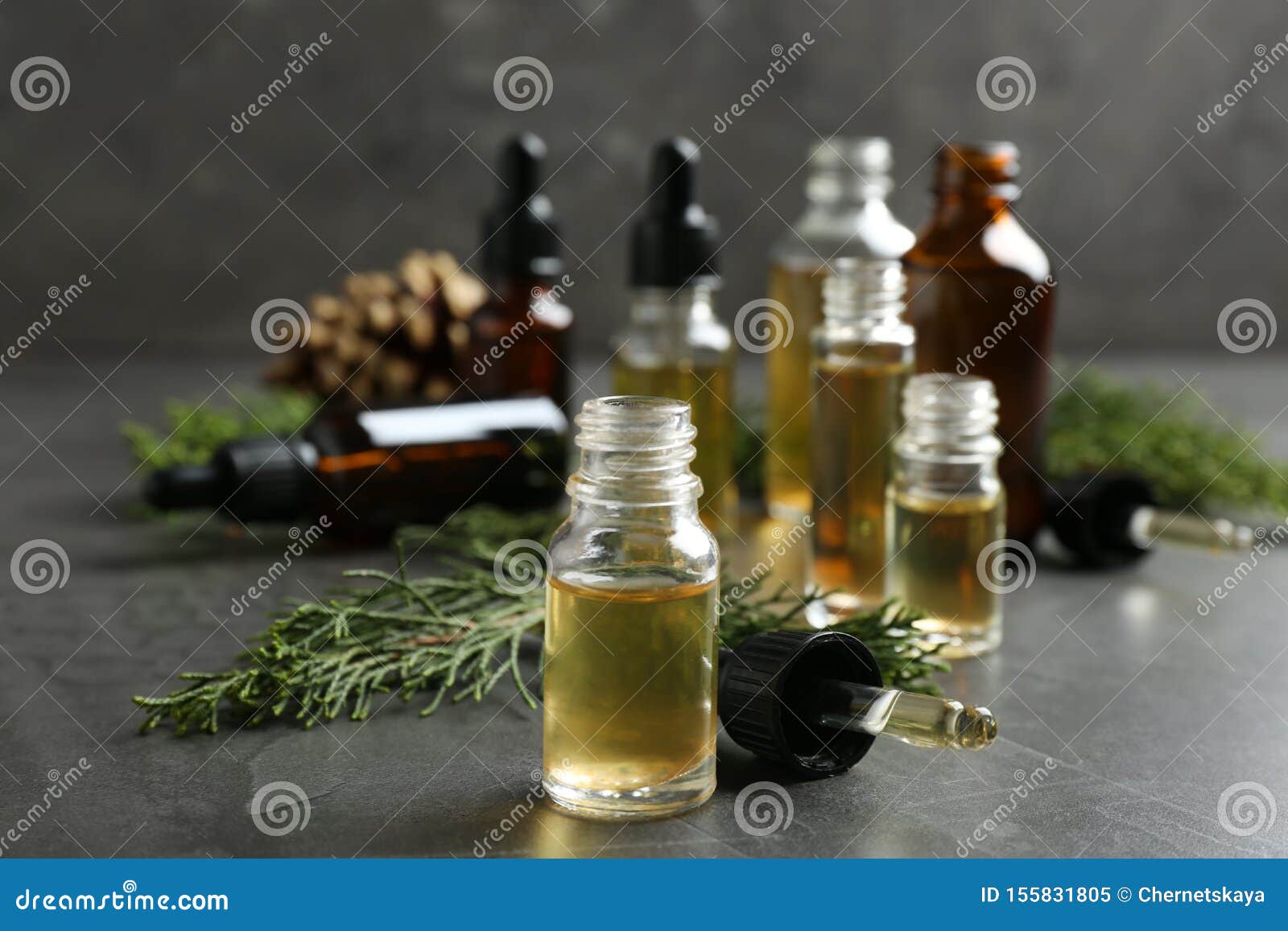 Composition Bottle of Conifer Essential Oil on Grey Table Stock Image ...