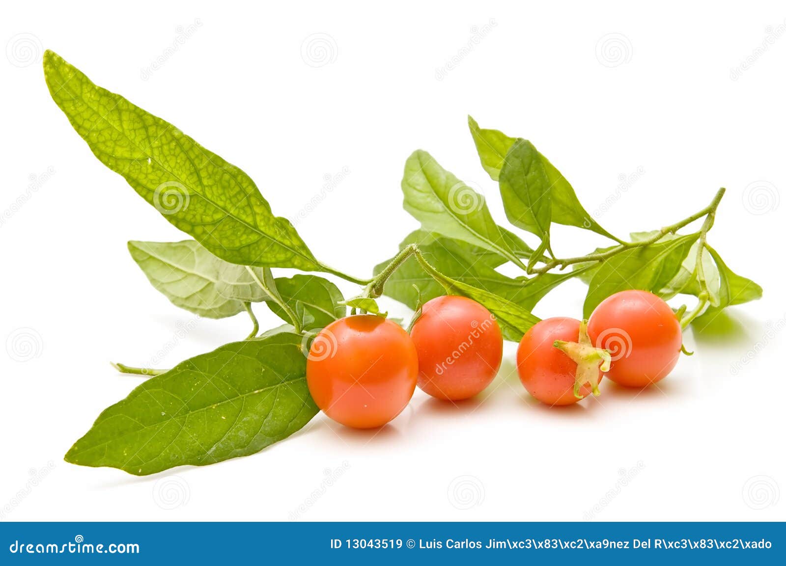 Composition with Cherry Tomatoes Stock Image - Image of tomatoes, plate ...