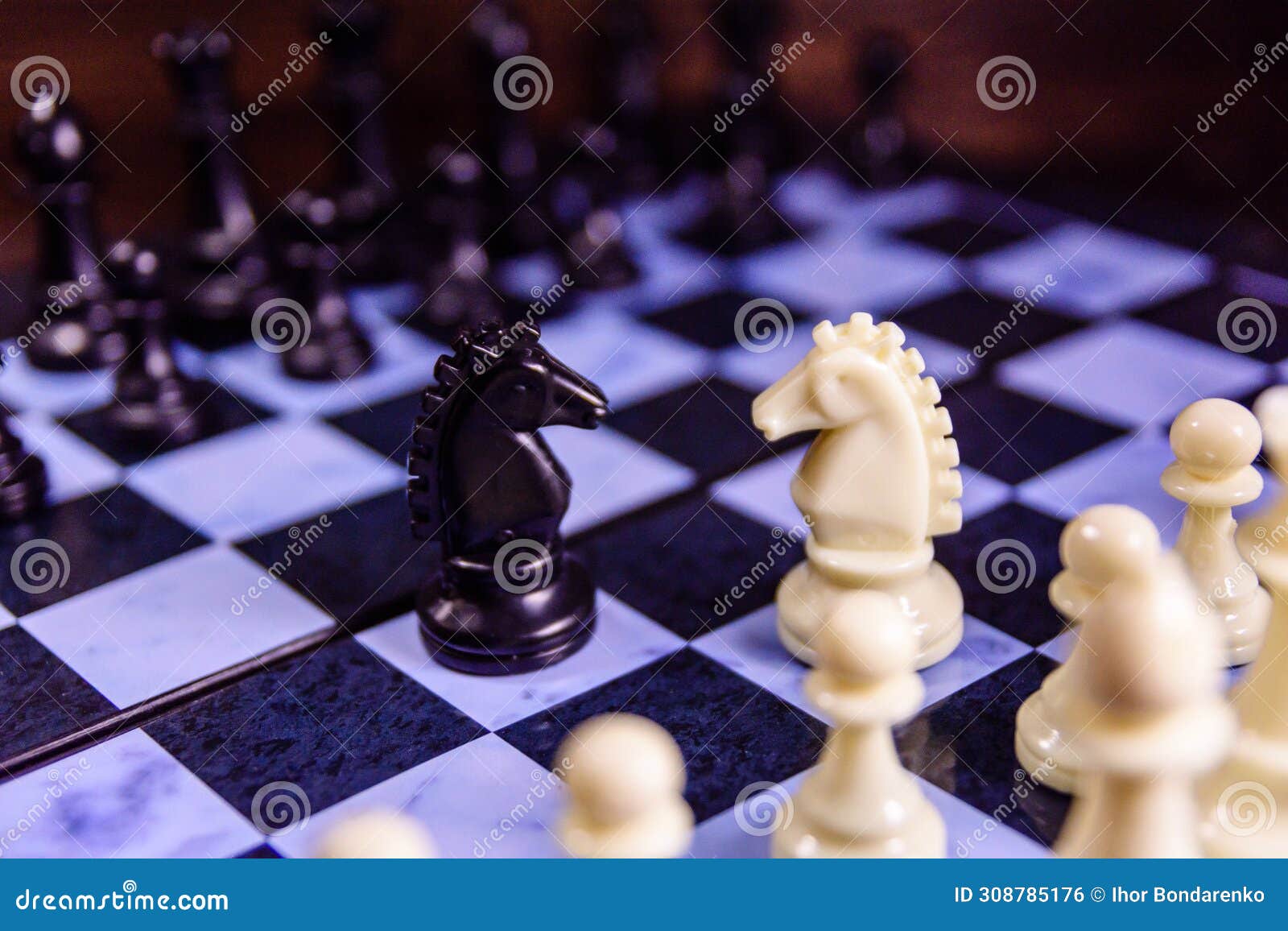 Composition of the Chess Pieces on a Chess Board Stock Photo - Image of ...