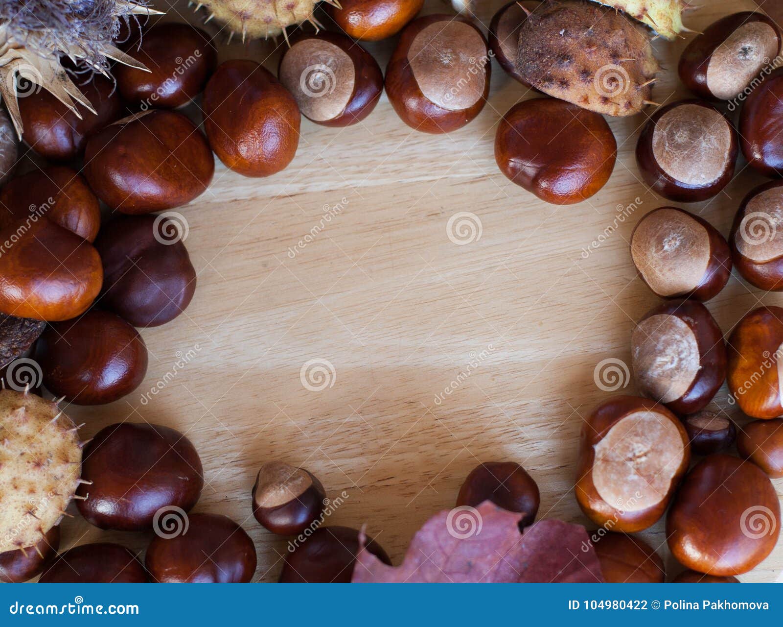 A Composition of Chestnuts and Cone and Leaves Stock Photo - Image of ...