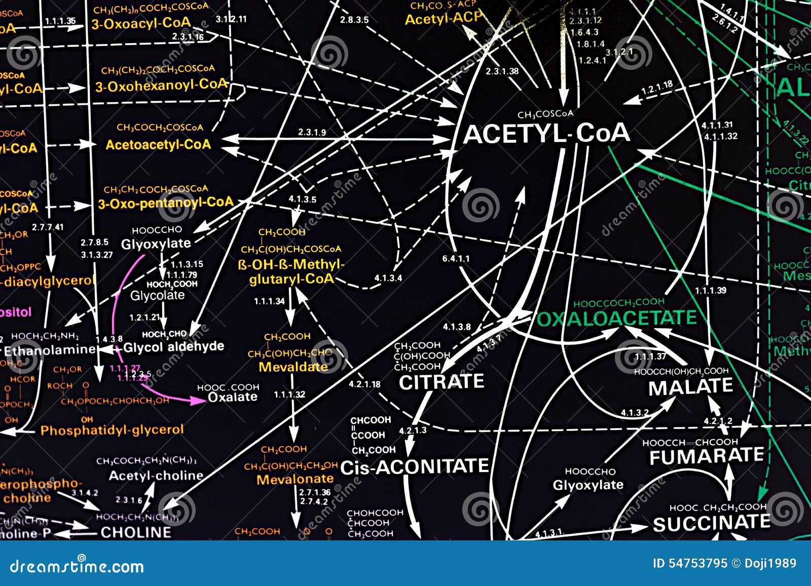 Composition chimique illustration stock. Illustration du chimique ...