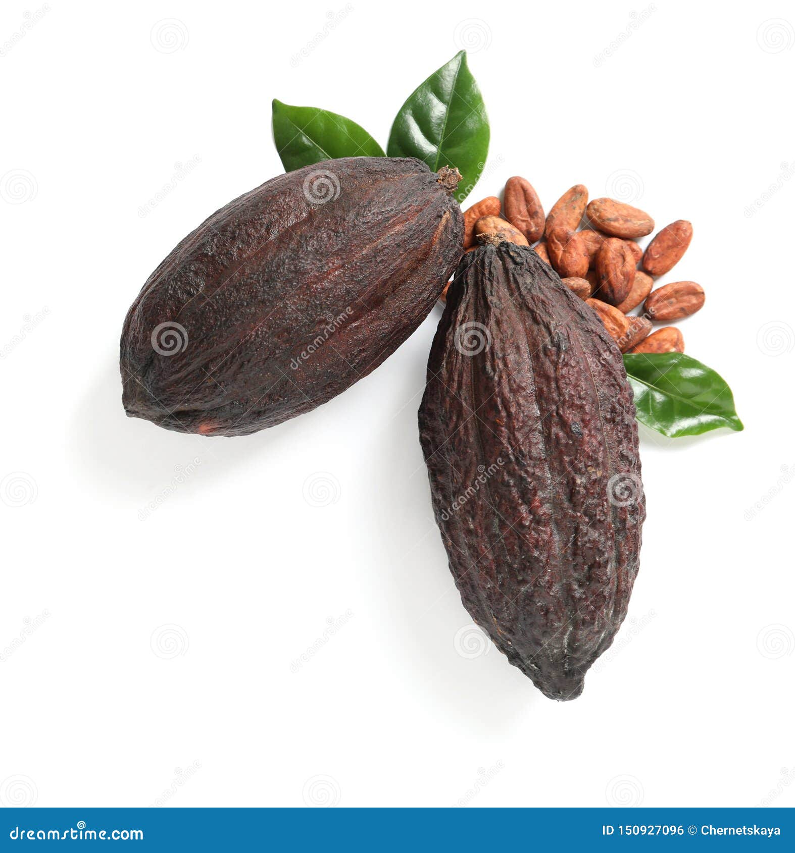 Cocoa Pods With Cocoa Leaves Isolated On A White Background Stock ...