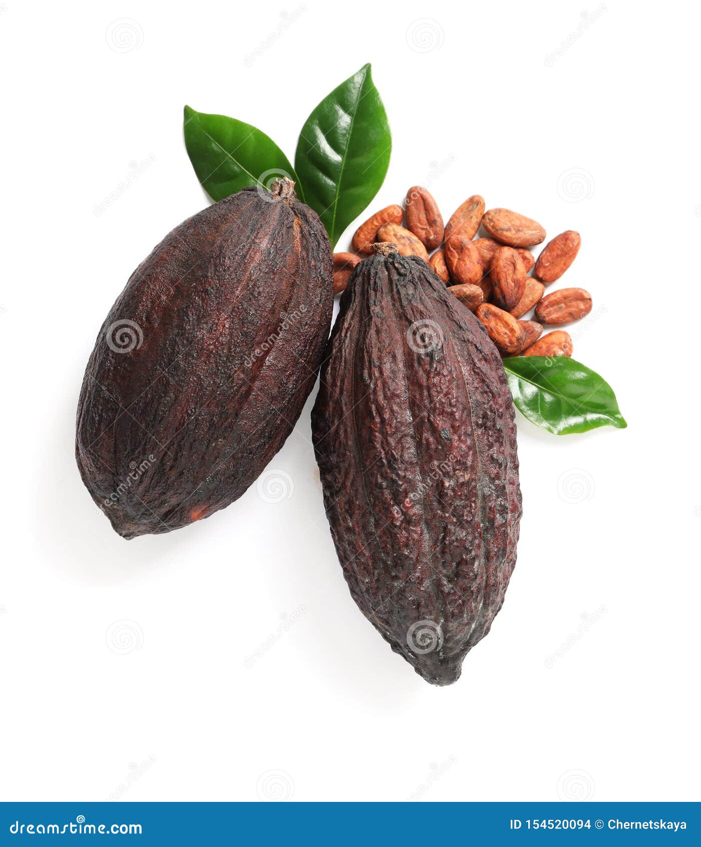 Composition with Cocoa Pods on White Background Stock Photo - Image of ...