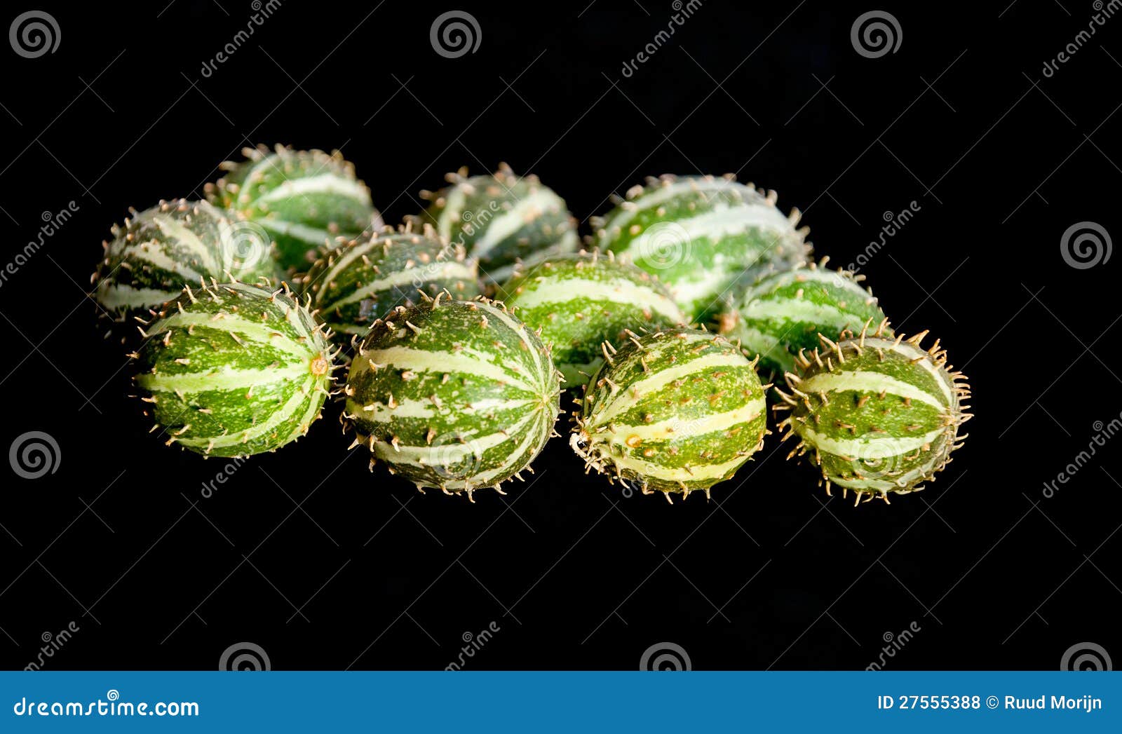 Composition of Cucumis Africanus Fruits on Black Stock Photo - Image of ...