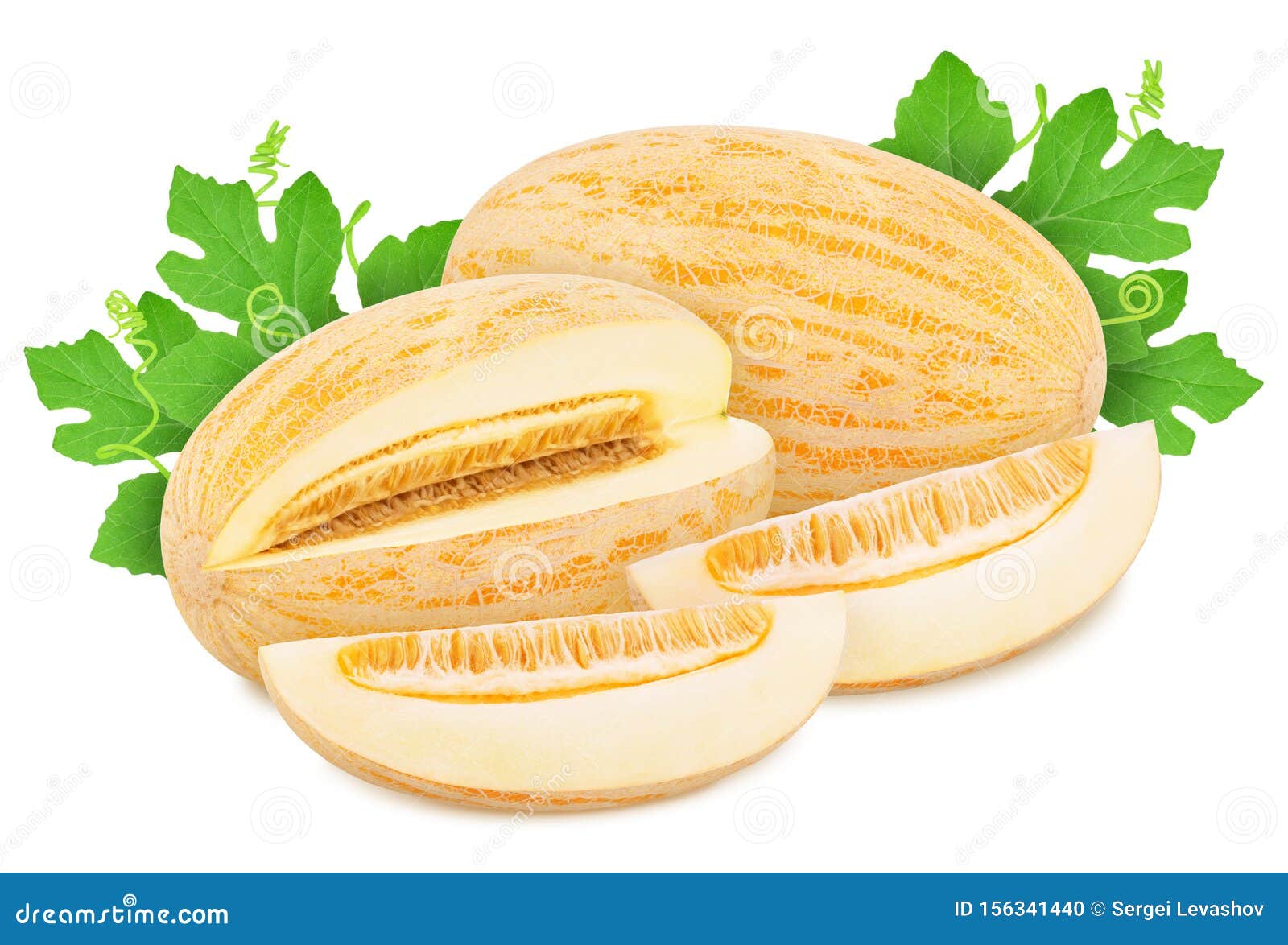 Composition with Cutted Ripe Melons and Leaves Isolated on White ...