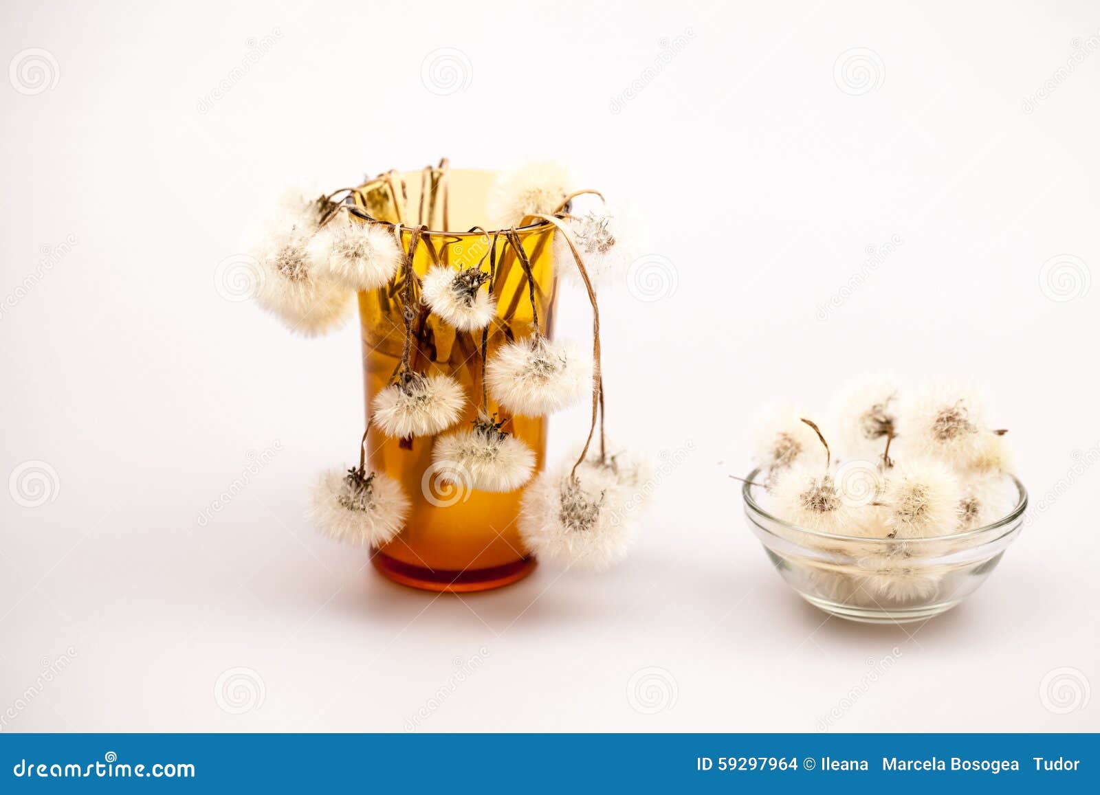 Composition with Dandelion Seeds and Small Glass Objects Stock Photo ...