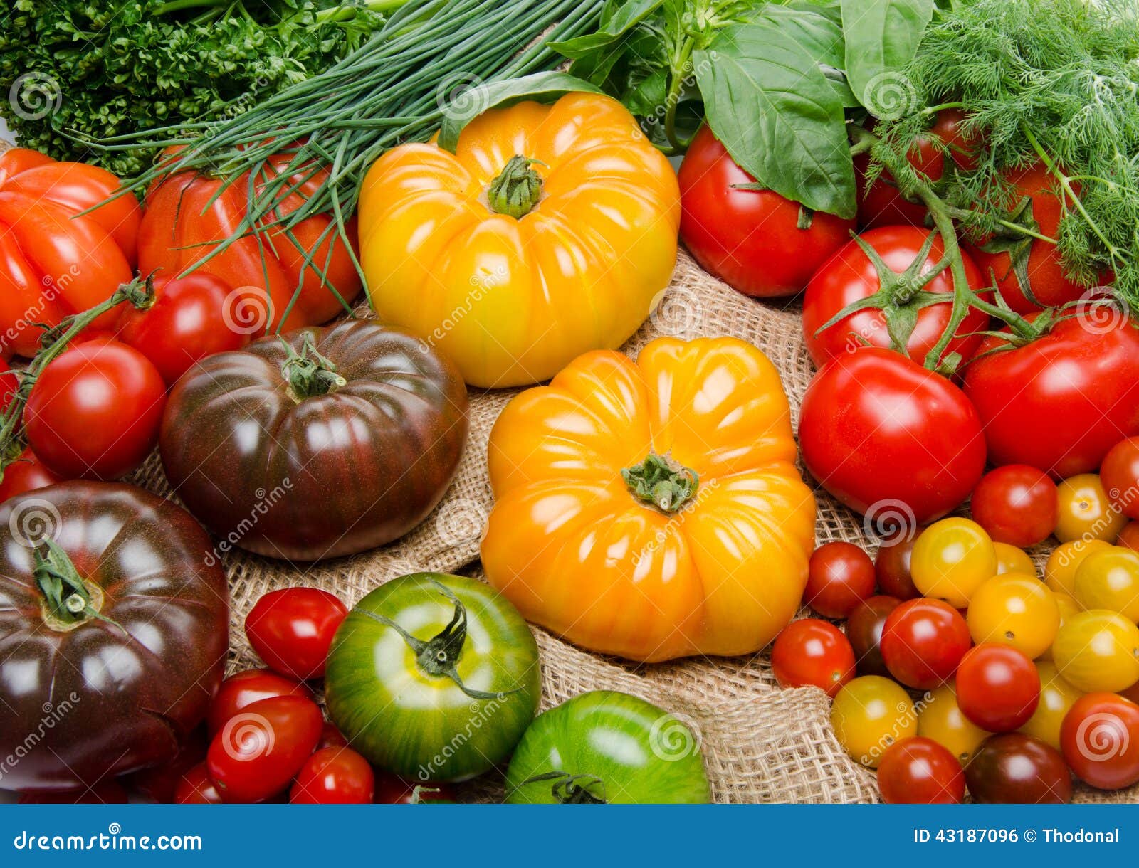 Composition De Différentes Variétés De Tomates Et D'herbes Photo stock ...