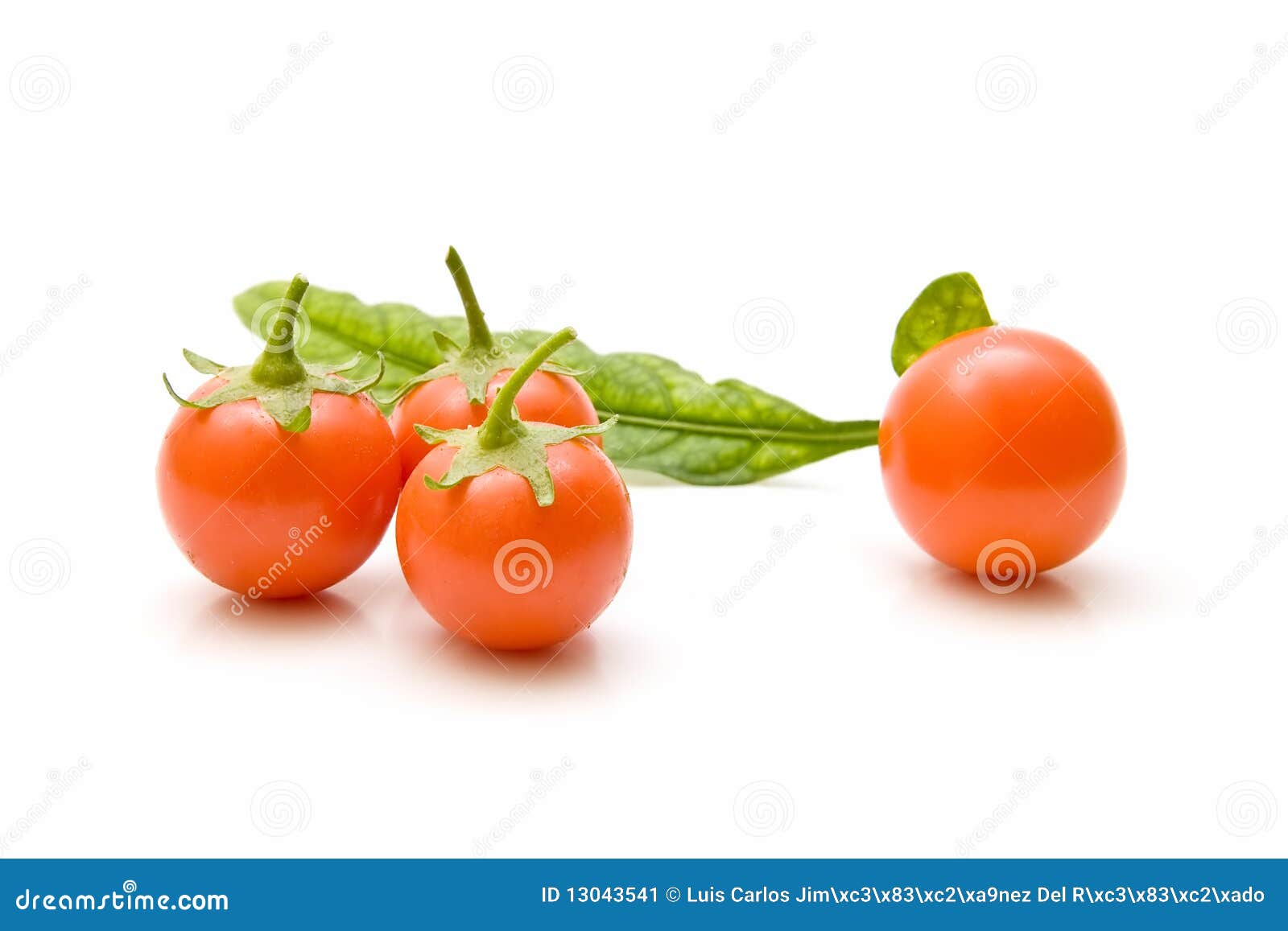 Composition de tomate image stock. Image du isolement - 13043541