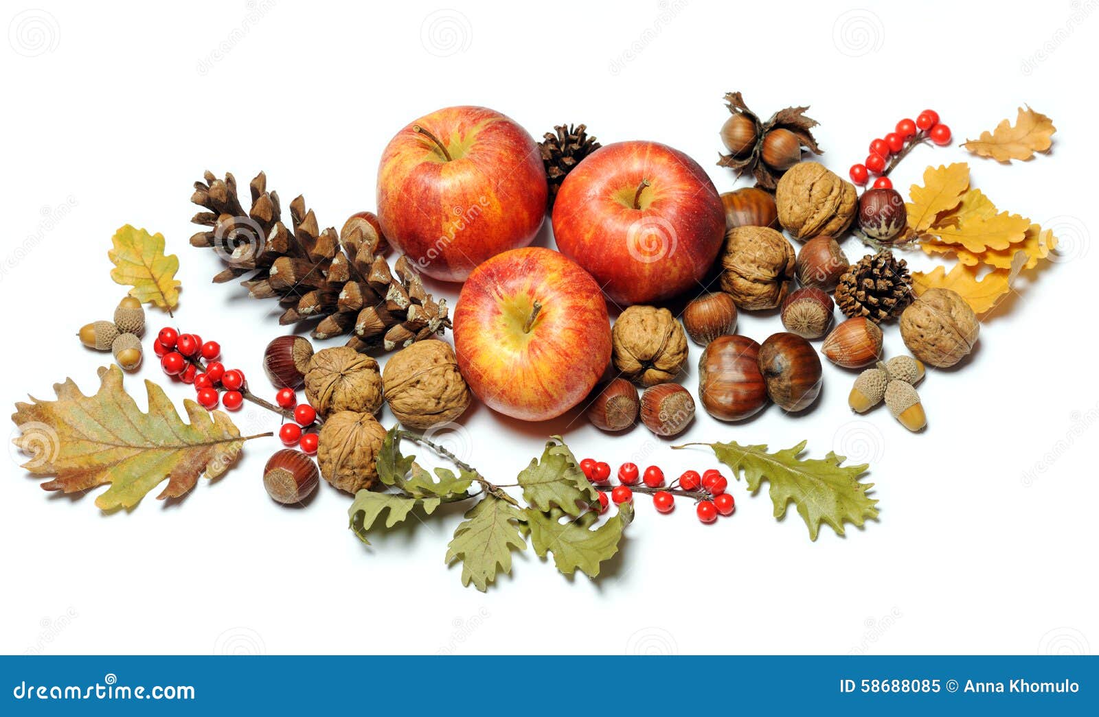 Composition Des Fruits D'automne Image stock - Image du durée, rouge ...