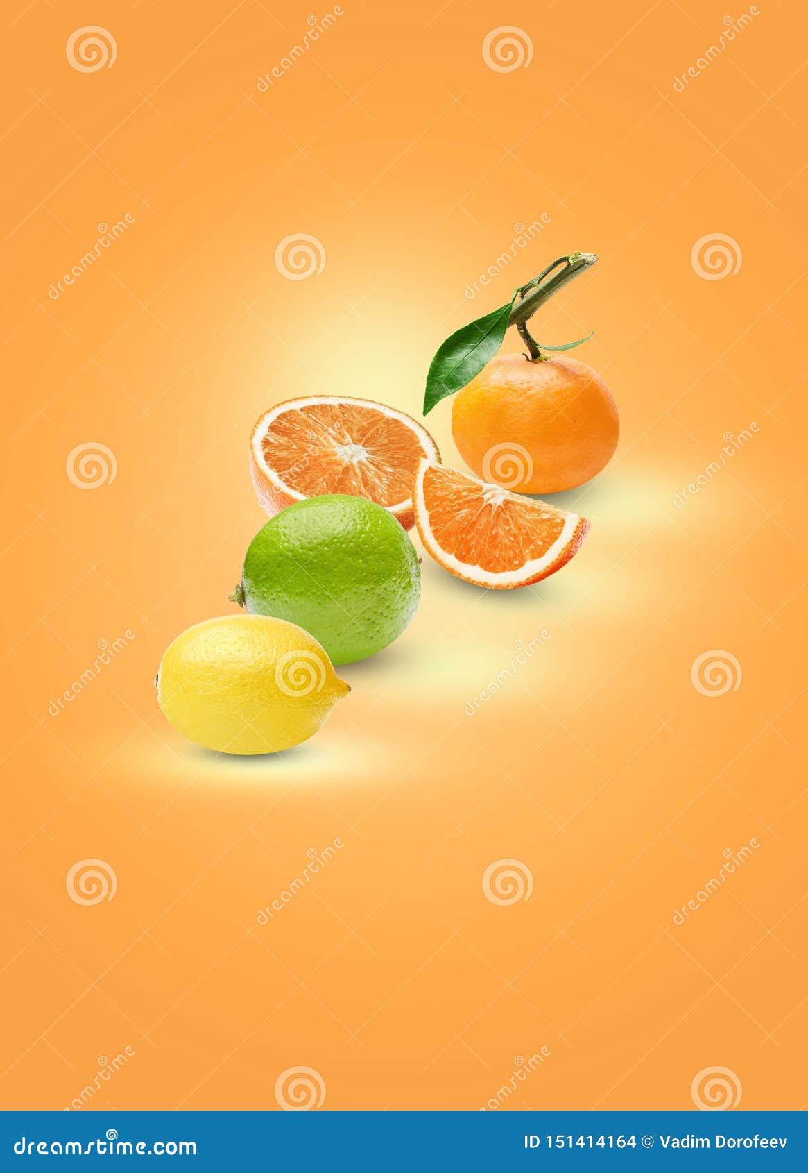 Composition of Different Citrus Fruits on an Orange Background. Art ...