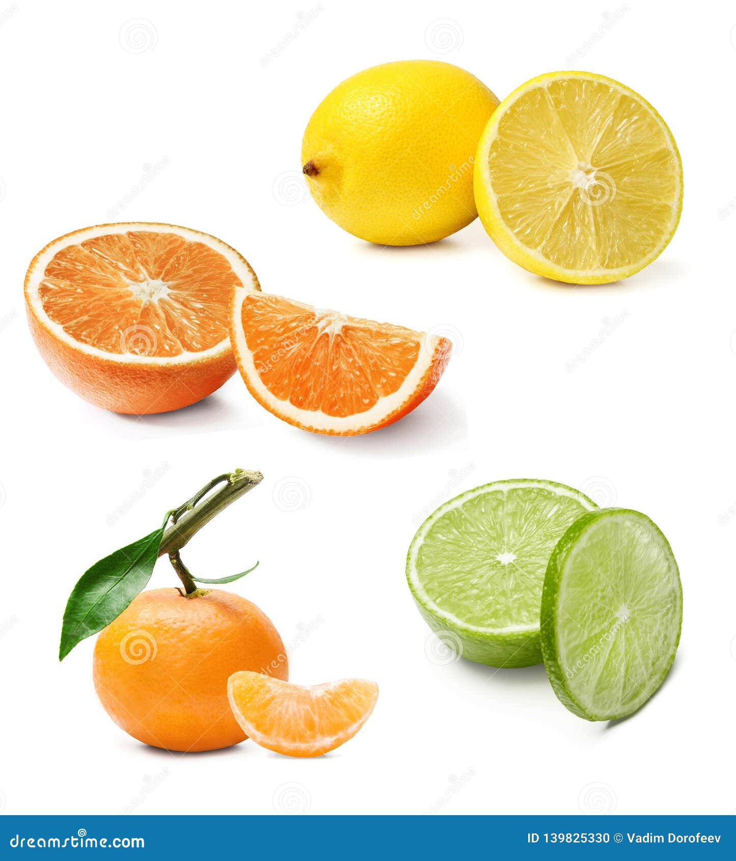 The Composition of Different Citrus. Orange, Lemon, Lime, Tangerine ...