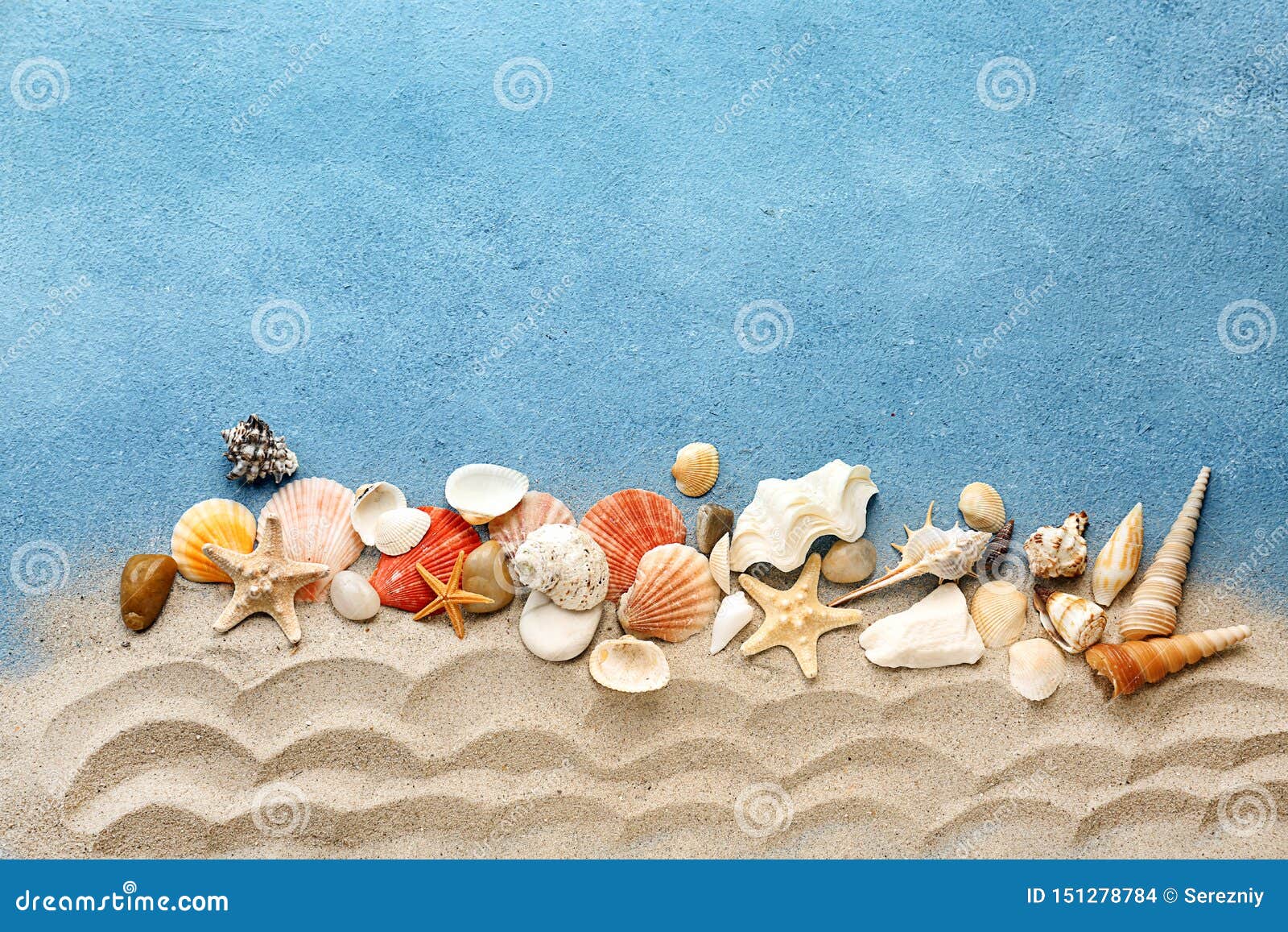 Composition with Different Sea Shells and Sand on Color Background ...