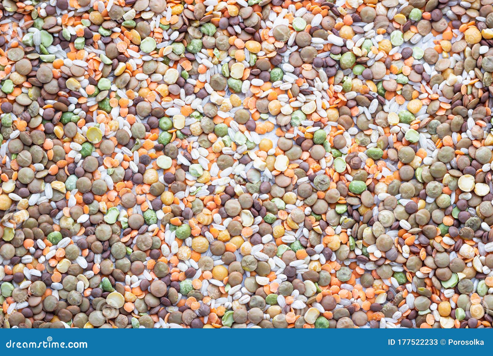 Composition with Different Types of Grains and Cereals on Light Grey ...