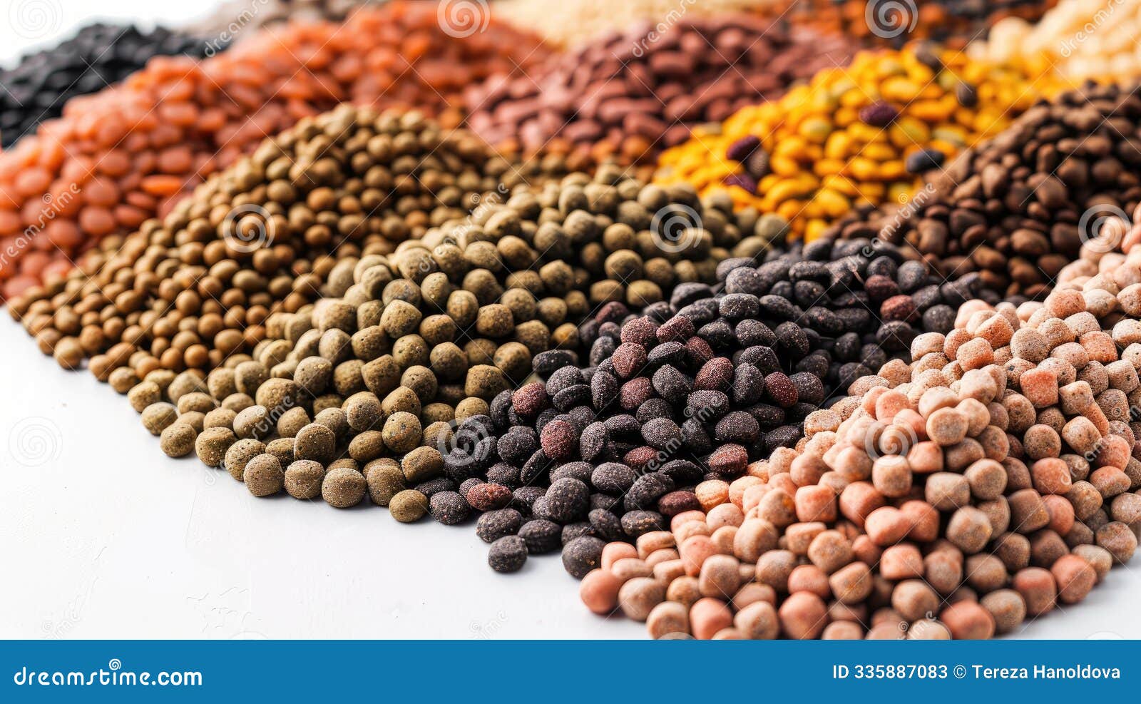 Composition of Different Types of Granules for Dogs Stock Illustration ...