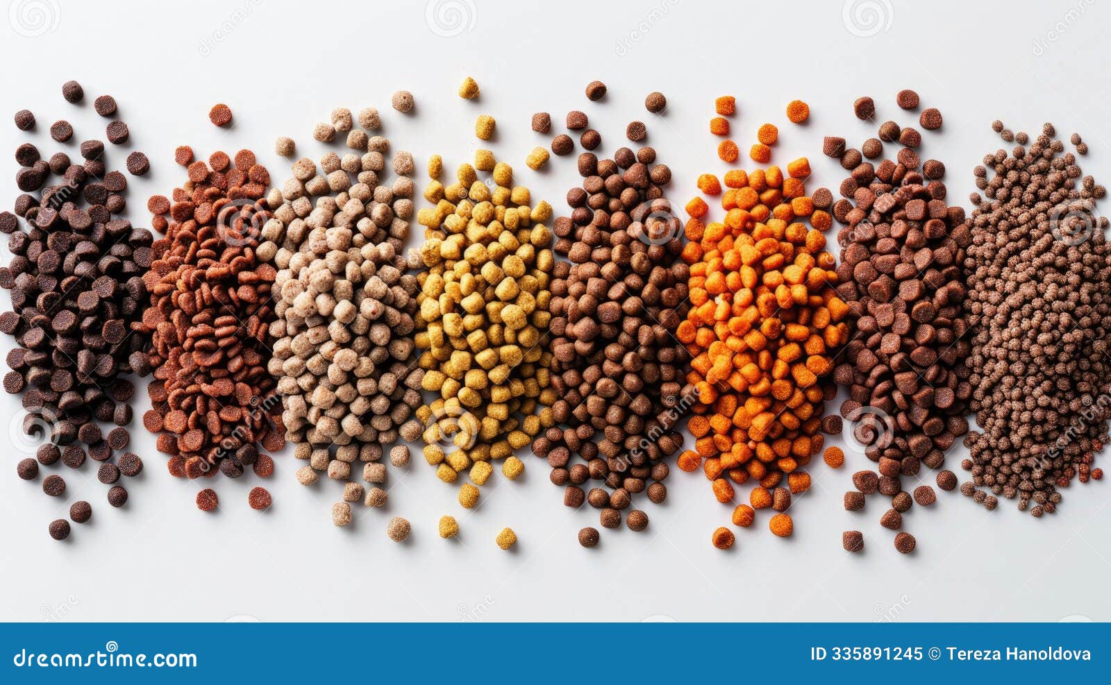 Composition of Different Types of Granules for Dogs Stock Illustration ...