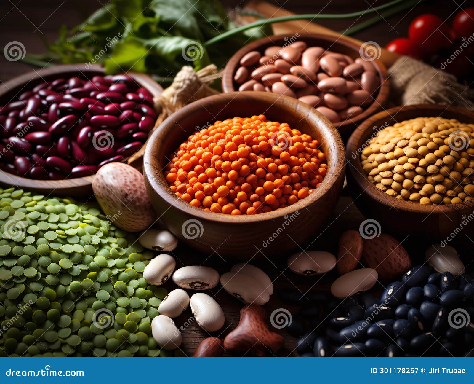 The Composition of Different Types of Legumes. Stock Illustration ...