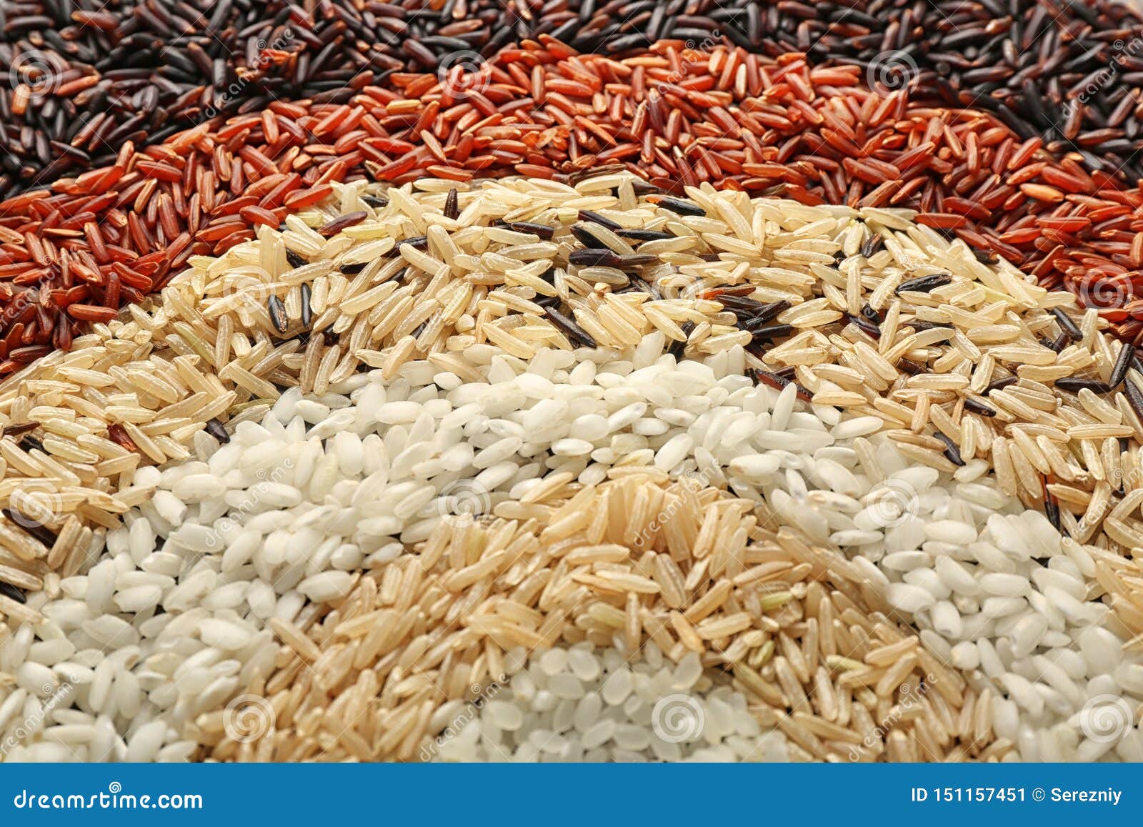 Composition with Different Types of Rice, Closeup Stock Image - Image ...