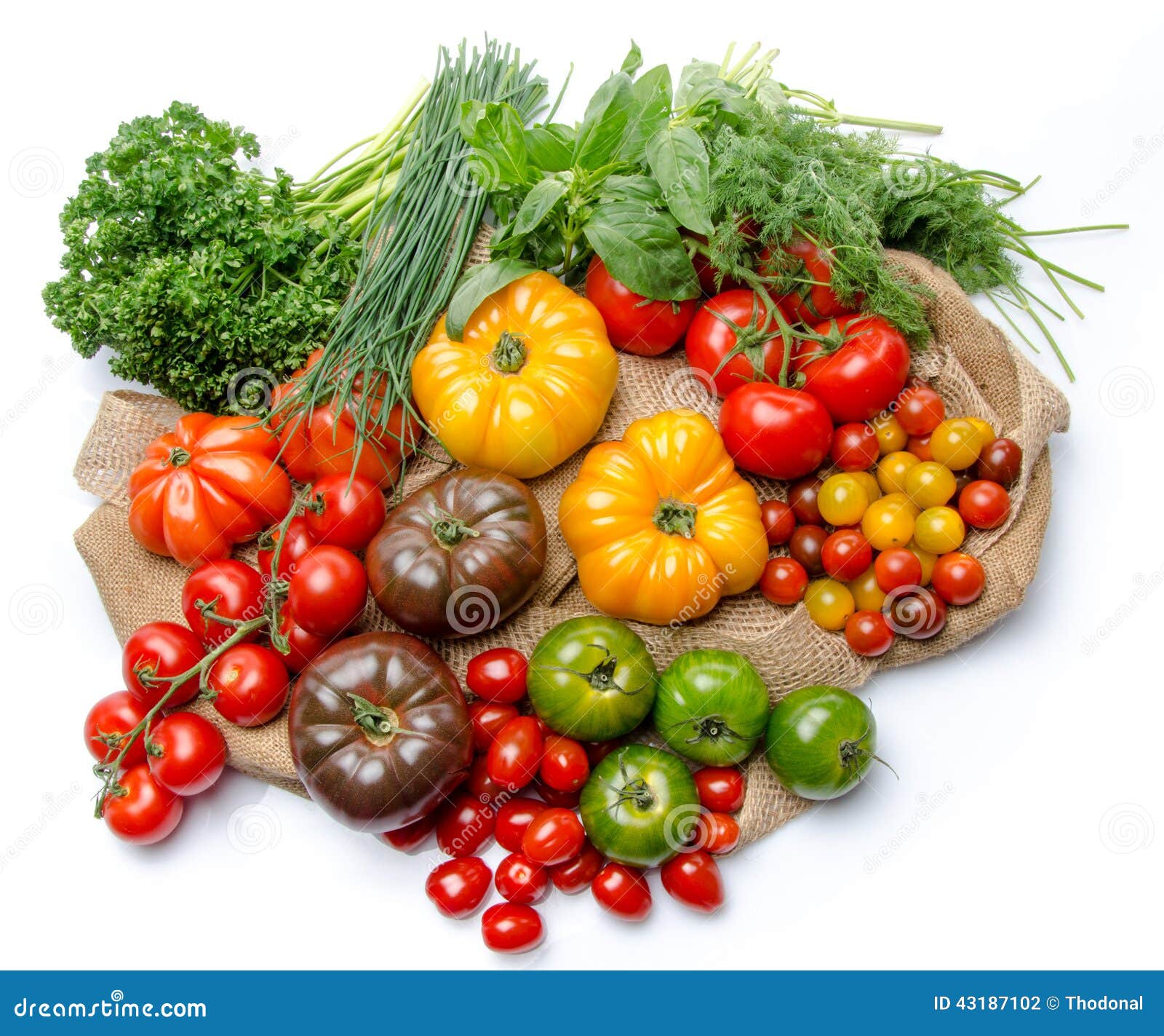 Composition of Different Varieties of Tomatoes and Herbs on a Bu Stock ...