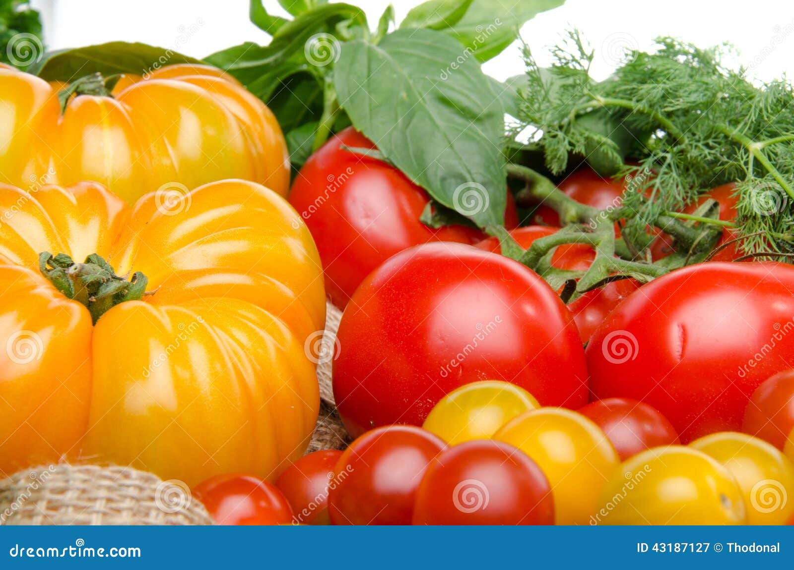 Composition of Different Varieties of Tomatoes and Herbs on a Bu Stock ...