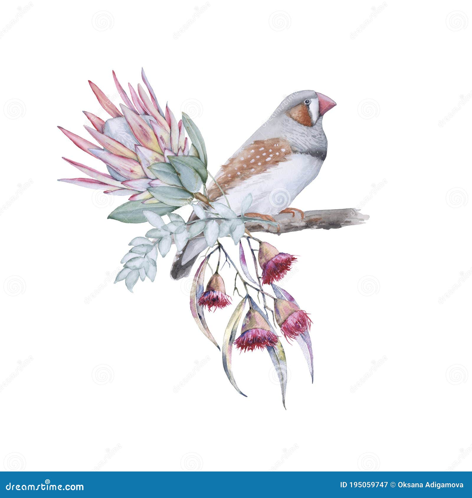 Australian Nature Reserve: Yakka Trees Royalty-Free Stock Photo ...