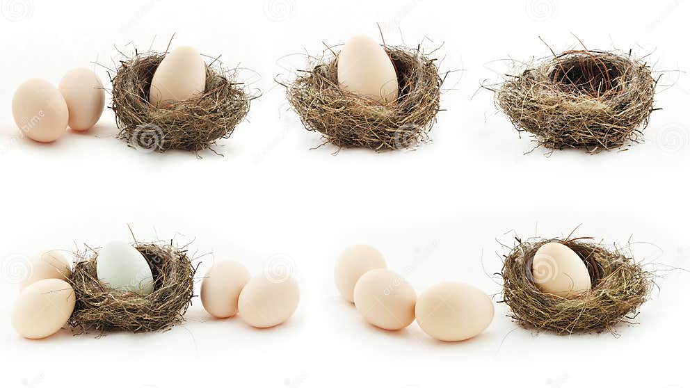 Composition with Empty Nest and Big Eggs Inside the Small Nests. Stock ...