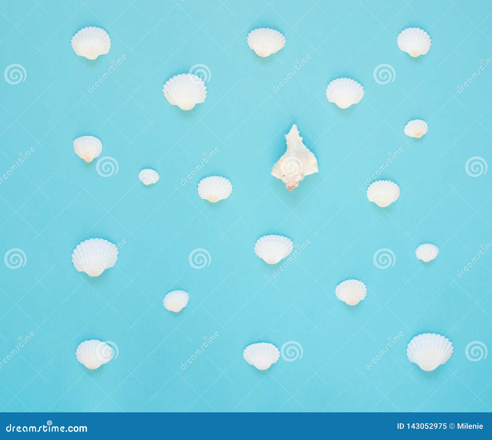 Composition of Exotic Sea Shells on a Blue Background Stock Image ...