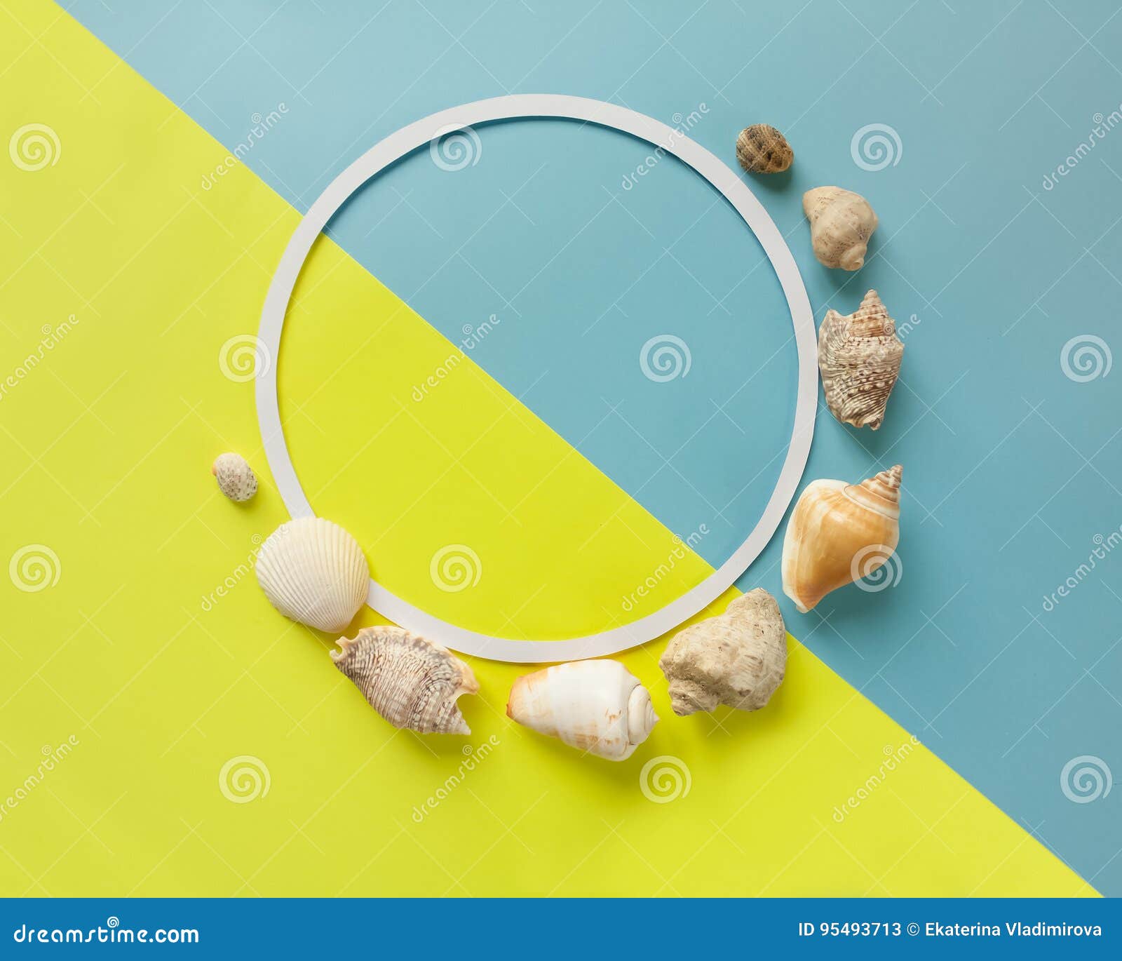 Composition of Exotic Sea Shells on a Blue and Yellow Background. Top ...