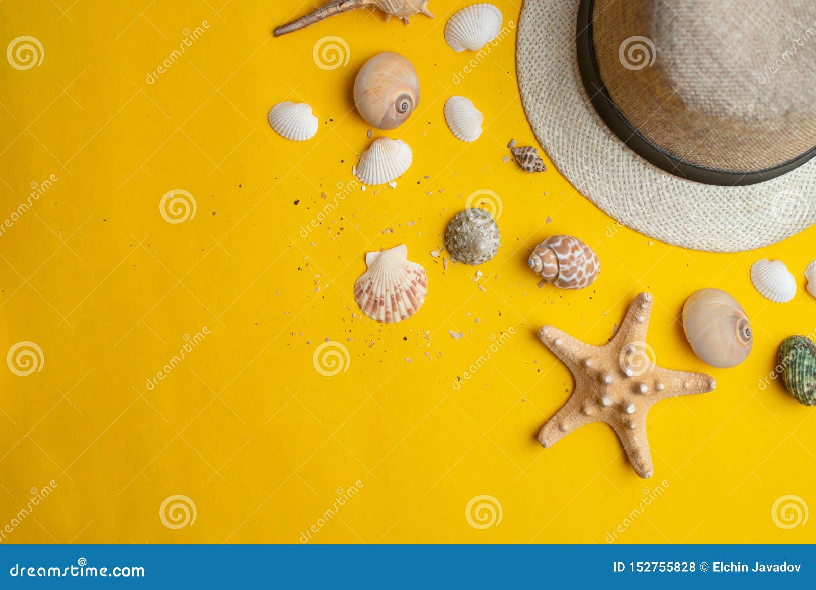 Composition of Exotic Sea Shells with Panama Hat on a Yellow Background ...