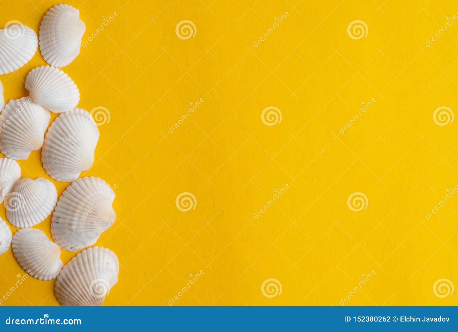 Composition of Exotic Sea Shells on a Yellow Background. Summer Concept ...