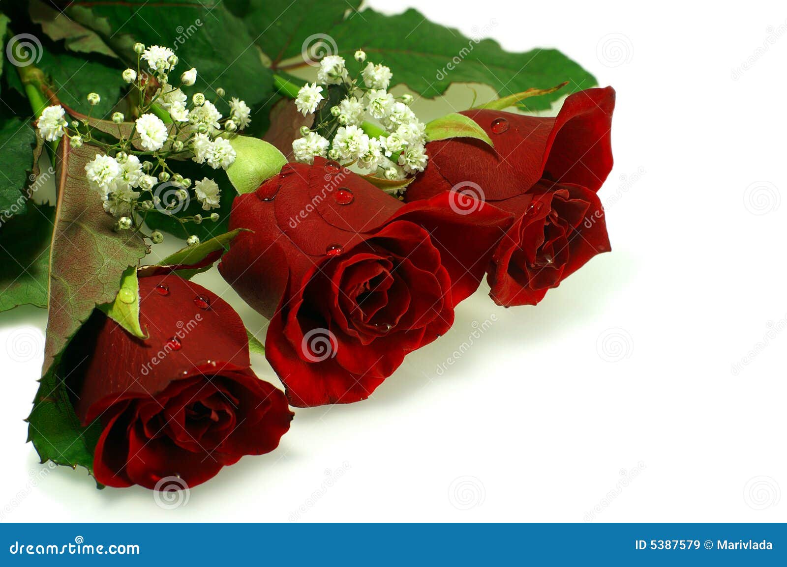 Composition Florale Avec Trois Roses Rouges Gentilles Image stock ...